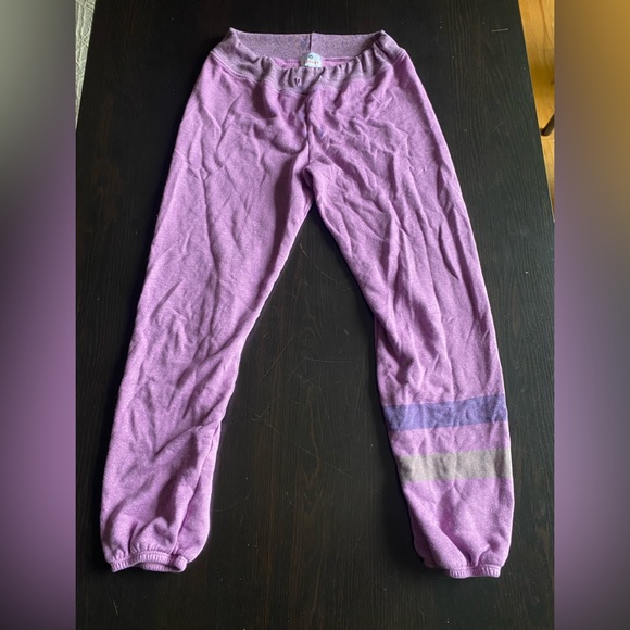 Sundry | Pants & Jumpsuits | Sundry Womens 3 Color Stripe Sweatpant ...